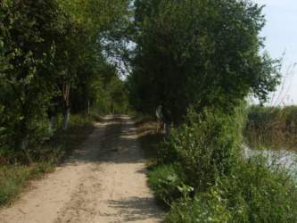 Balta Delta Gruiu - Taxa Balta delata gruiu